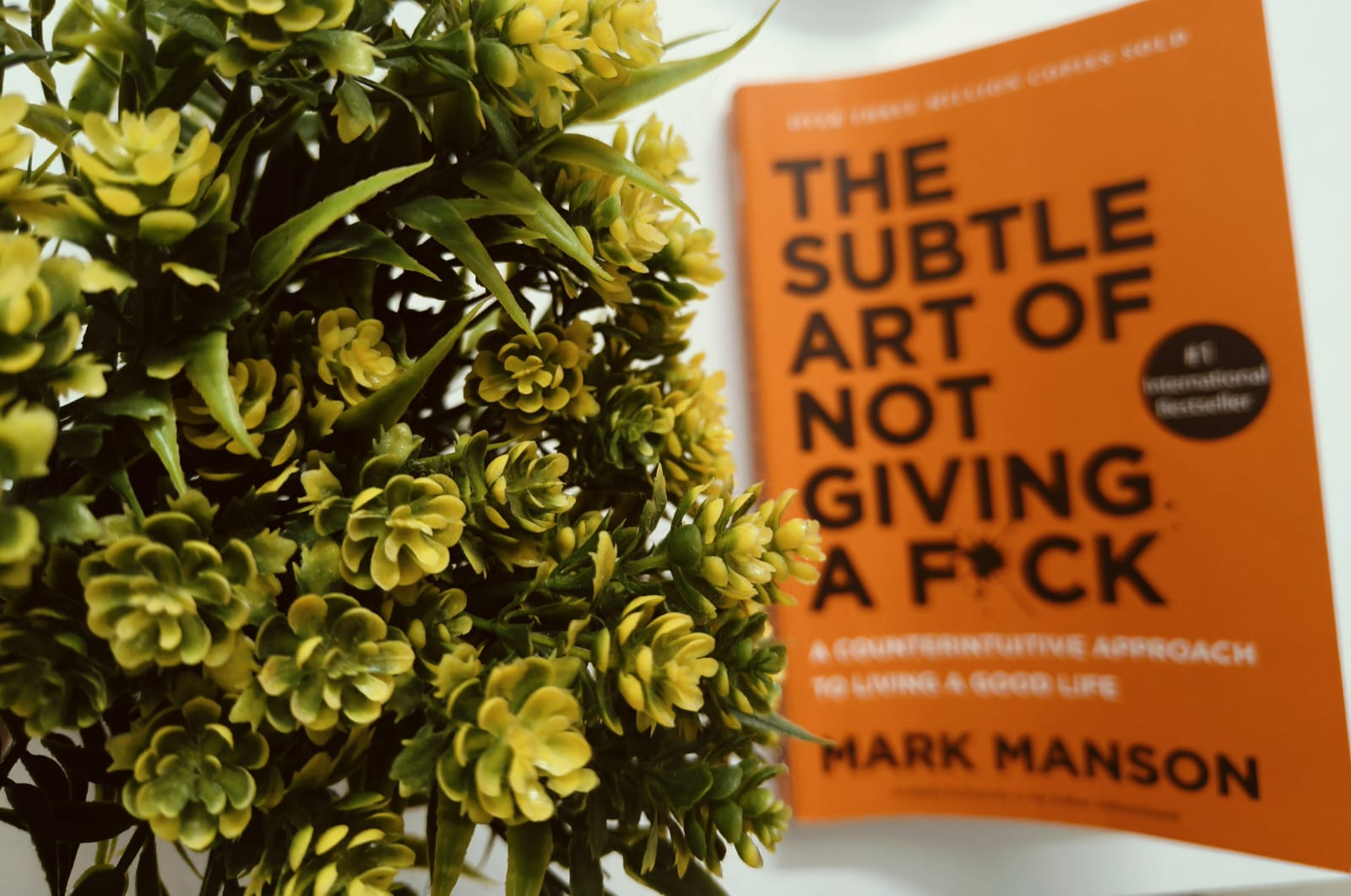"The Subtle Art of Not Giving a F*ck" book review